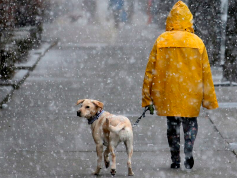 Βάσει ή βάση; Ποια είναι η σωστή επιλογή; | Alfavita